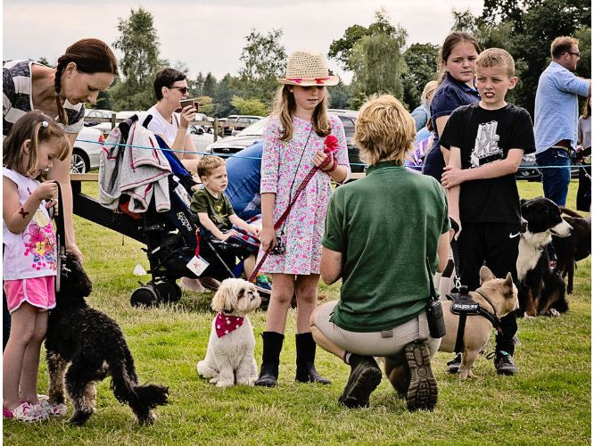 Dog Show Tatton Park - 8th Sept 2024 – Pawfecthome
