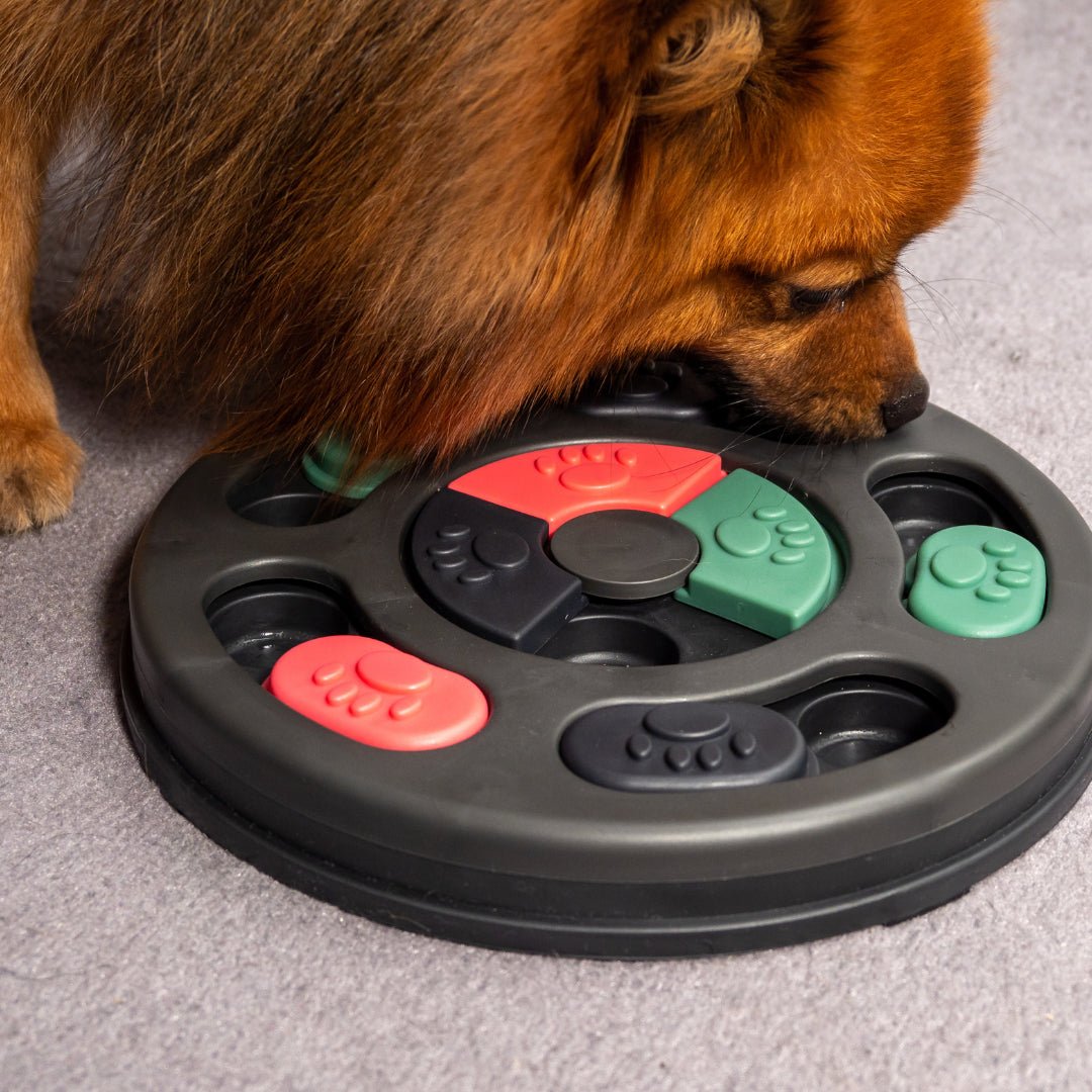 The Guide to Mind Games for Dogs – Pawfecthome
